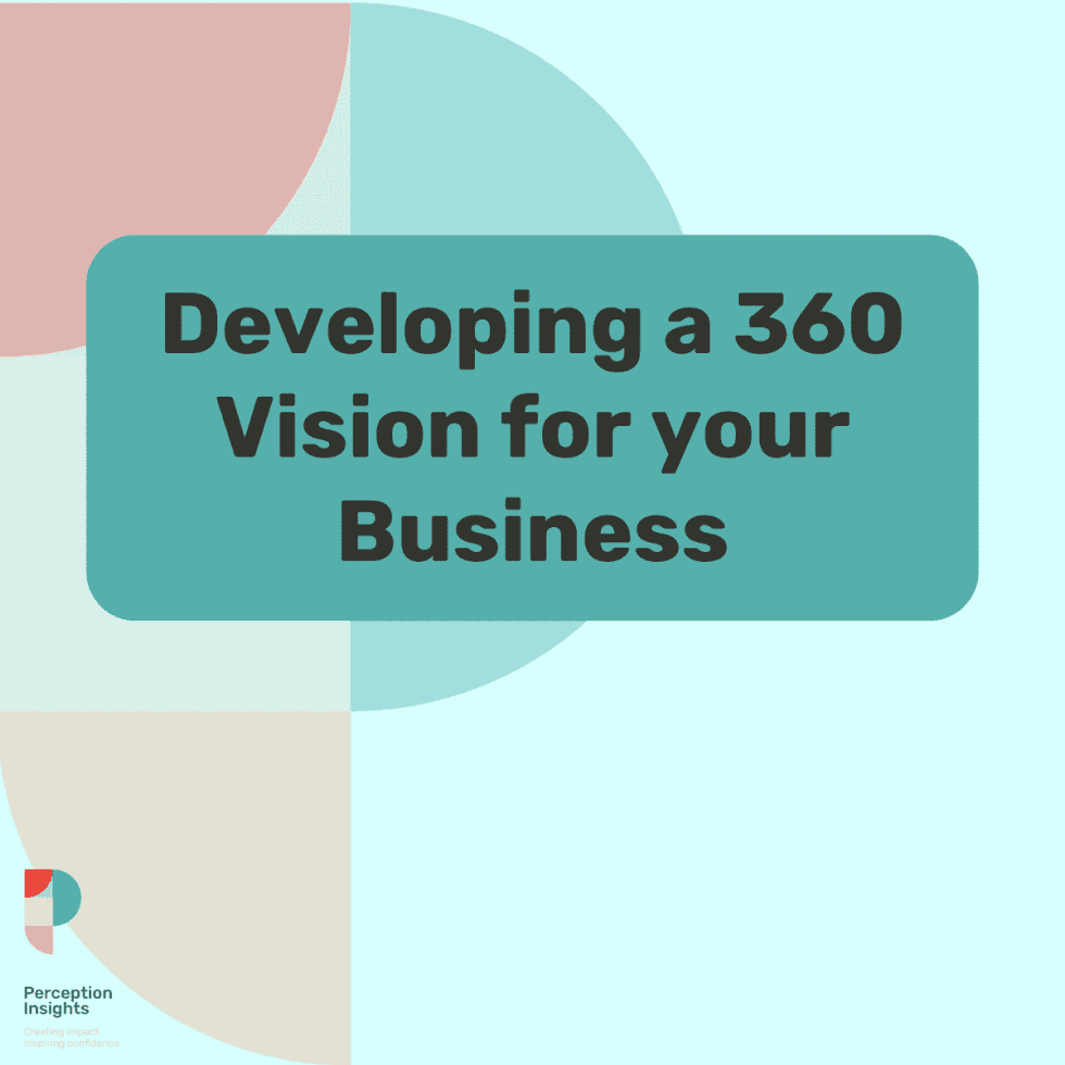Developing a 360 Vision for your Business - Perception Insights