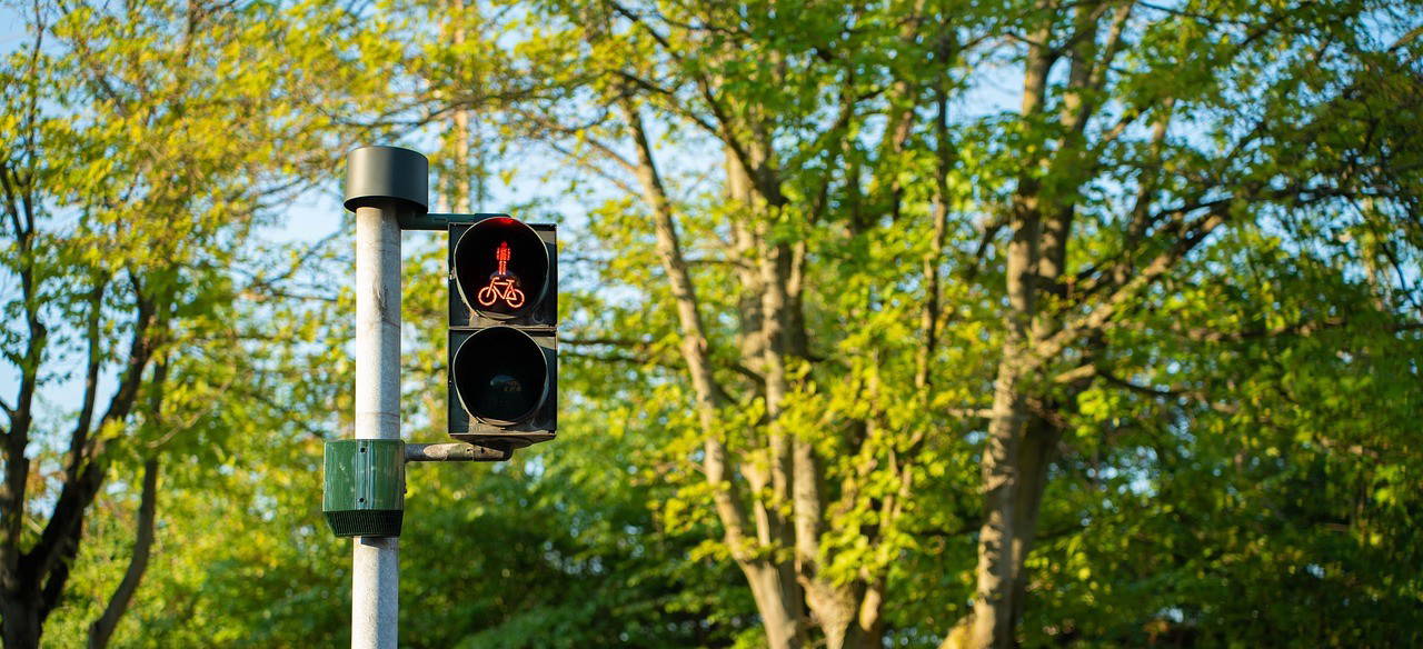 The Green Cross Code for Business Strategy - Perception Insights